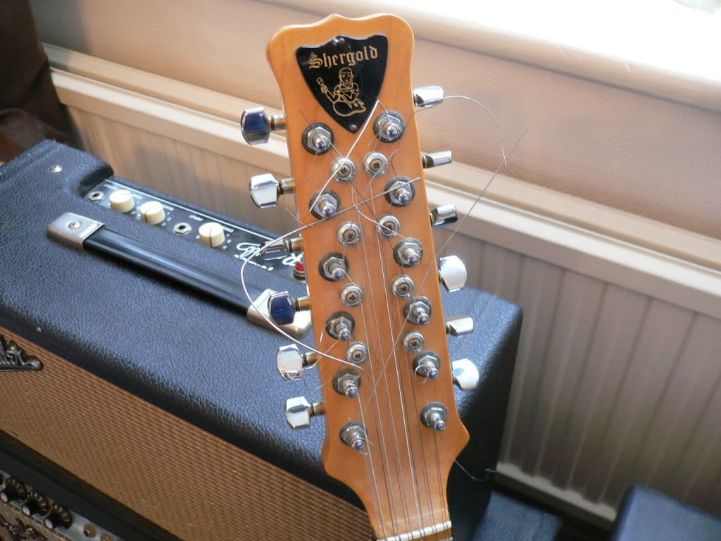 Electric 12 Strings? - Page 3 - OffsetGuitars.com